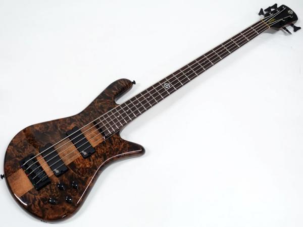 SPECTOR NS Ethos 5 / Super Faded Black Gloss | ワタナベ楽器店 大阪店